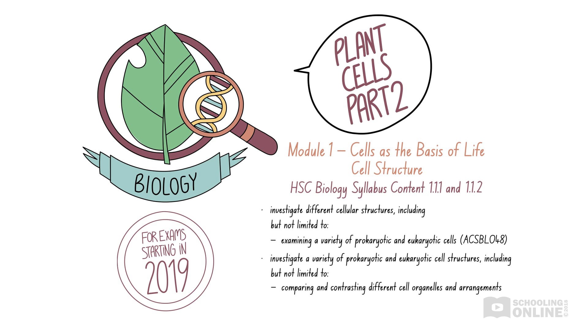 Plant Cells 3 - Cell Structure